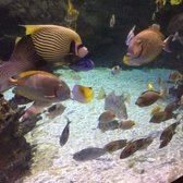 Point Defiance Zoo & Aquarium - 628 Photos & 270 Reviews - Zoos - 5400 ...