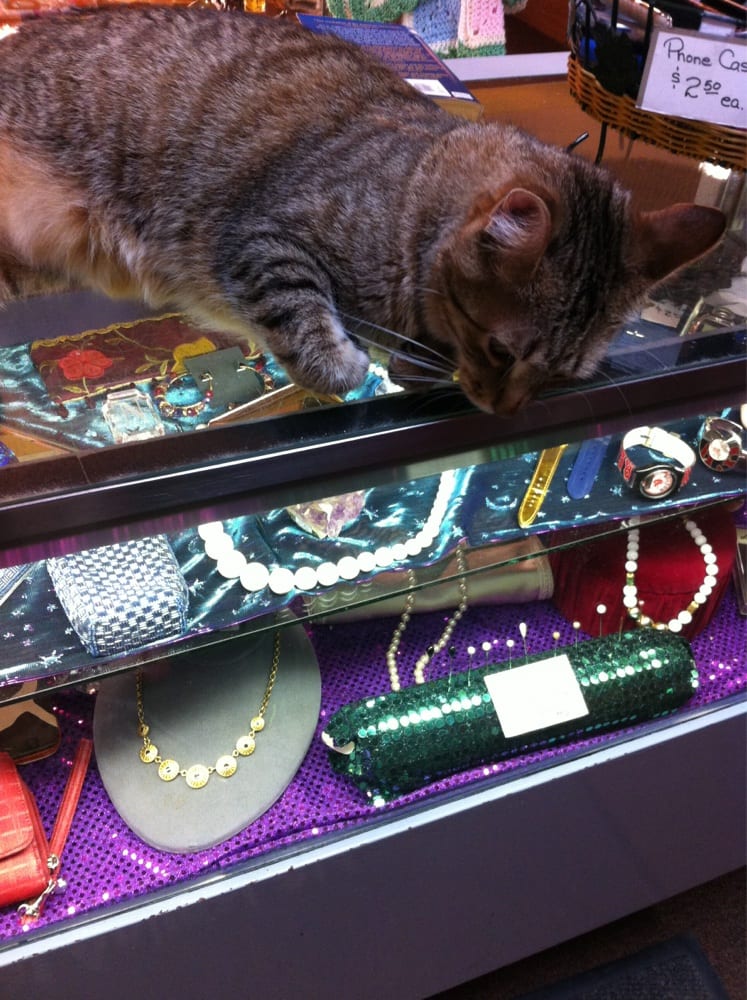 Animal Aid Thrift Store - 16 Photos - Used, Vintage & Consignment ...