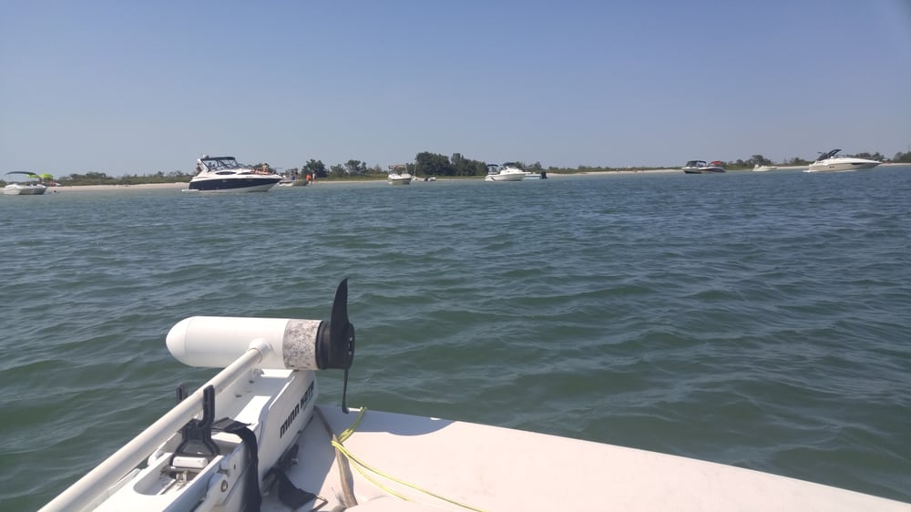 3 Rooker Island - 12 Photos - Beaches - Pinellas County, FL - Yelp