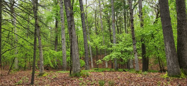 Castile, NY Map & Directions - MapQuest