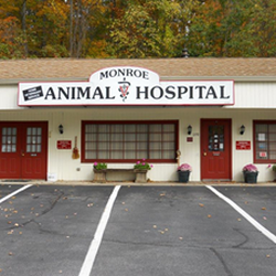 Monroe Animal Hospital - Veterinarians - 270 Main St, Monroe, CT ...