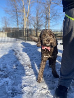 Mount Washington, KY Map & Directions - MapQuest