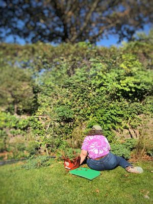 Cedar, MN Map & Directions - MapQuest