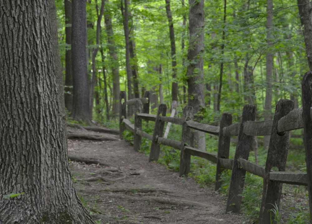 Marott Park - 15 Photos - Parks - Indianapolis, IN - Reviews - Yelp