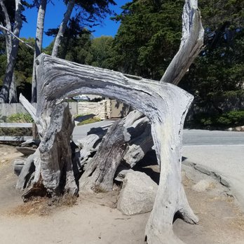 17-Mile Drive Scenic Tour - 2214 Photos & 755 Reviews - Local Flavor ...