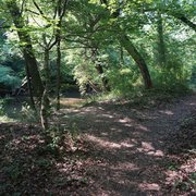 Yellow River Park - 69 Photos - Parks - 3232 Juhan Rd, Stone Mountain ...