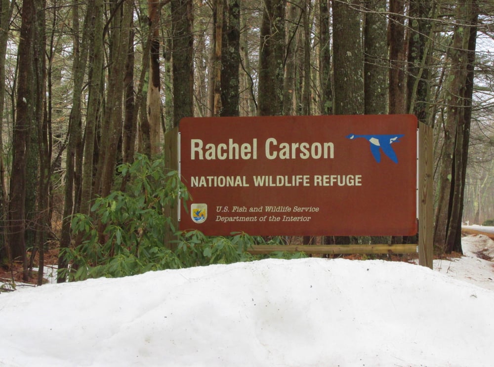 Rachel Carson National Wildlife Refuge - 48 Photos & 13 Reviews - Parks ...