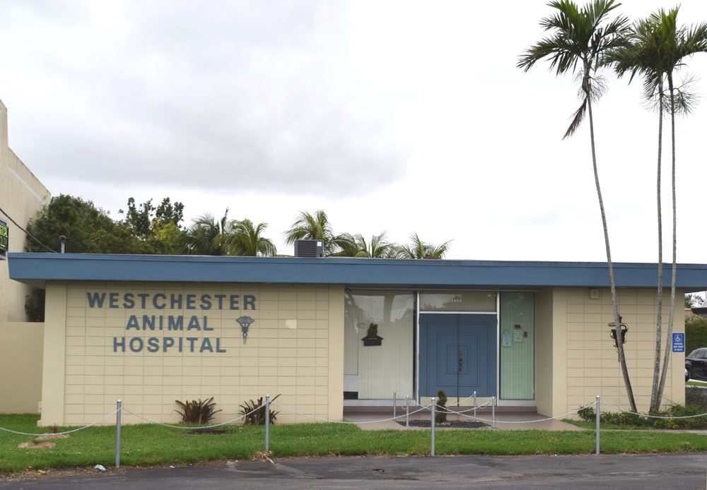 Westchester Animal Hospital - 22 Photos & 14 Reviews - Veterinarians ...
