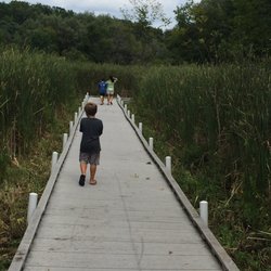 Cushing Memorial Park - 18 Photos - Hiking - 600 N Cushing Park Rd ...