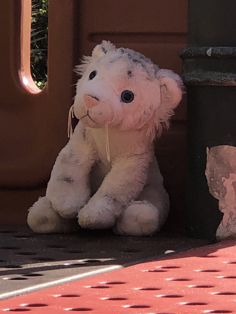 Loggerhead Park - 12 Photos - Beaches - 14200 US Highway 1, Juno Beach ...