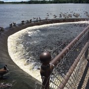 Pymatuning Spillway - 38 Photos & 17 Reviews - Parks - Linesville, PA ...