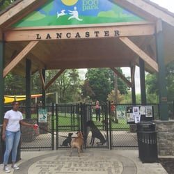 Beau’s Dream Dog Park - 17 Photos & 11 Reviews - Pet Services - W ...