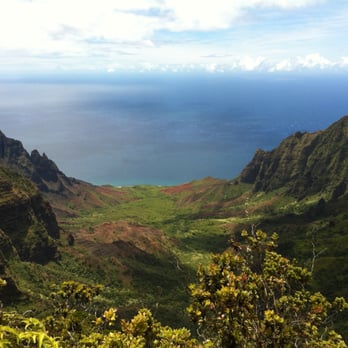 Pihea Trail - 50 Photos & 22 Reviews - Hiking - Kokee State Park ...