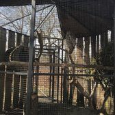 Connecticut’s Beardsley Zoo - 134 Photos & 80 Reviews - Zoos - 1875 ...