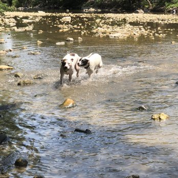 Shirlington Dog Park - 118 Photos & 248 Reviews - Dog Parks - 2710 S ...