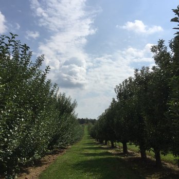 Evans Orchard & Cider Mill - 224 Photos & 48 Reviews - Fruits & Veggies ...