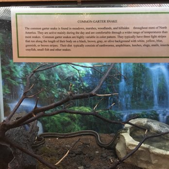 Sulphur Creek Nature Center - 159 Photos & 95 Reviews - Community ...