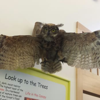 Emma Treadwell Thacher Nature Center - 23 Photos - Museums - 87 Nature ...