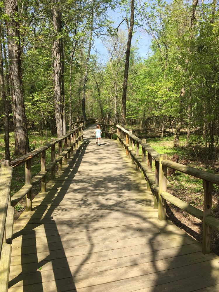 WC Johnson Park - 20 Photos - Parks - Wolf River Dr, Collierville, TN ...