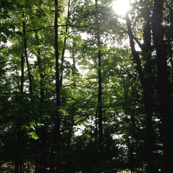 Silver Birch Ranch - 19 Photos - Summer Camps - N6120 Sawyer Lake Rd ...