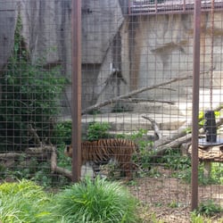 Miller Park Zoo - 19 Photos & 20 Reviews - Zoos - 1020 S Morris Ave ...