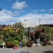 Shady Rest Restaurant - 20 Photos & 38 Reviews - Pizza - 796 Atlantic ...