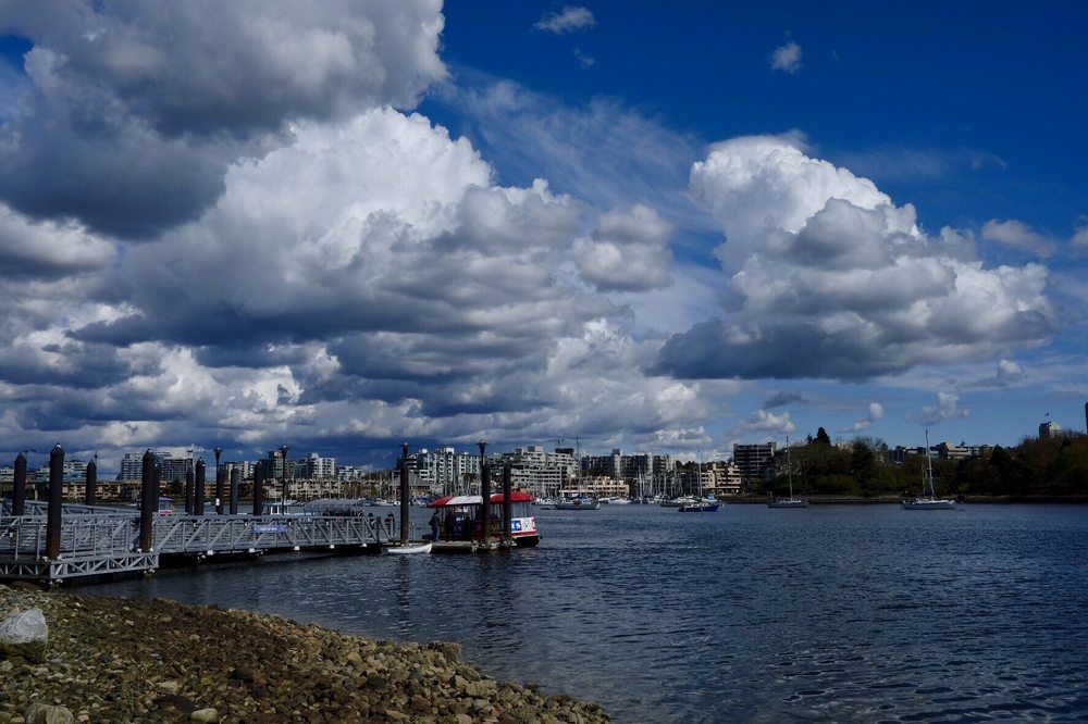 Aquabus - 93 Photos & 91 Reviews - Boat Tours - 230-1333 Johnston ...