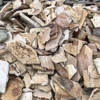 The Bushel Stop - 88 Photos & 18 Reviews - Nurseries & Gardening - 8596 ...