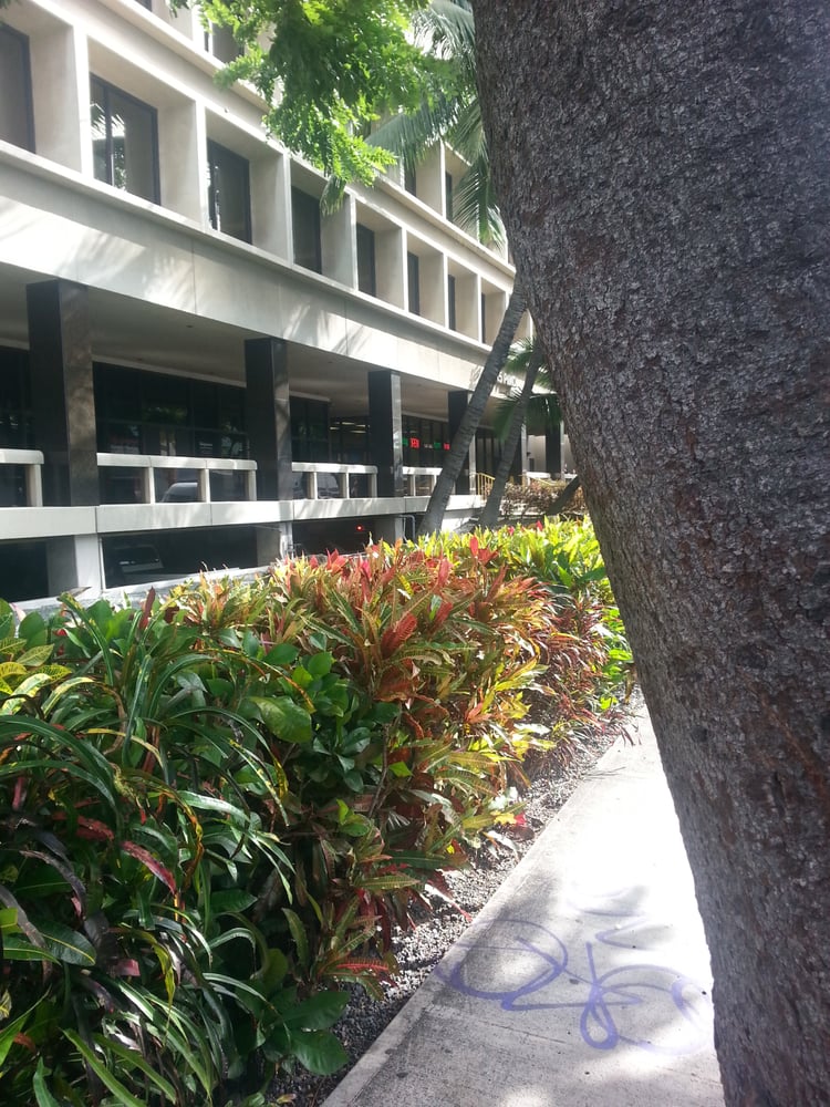 Regal Travel - Travel Services - 615 Piikoi St, Honolulu, HI - Phone ...