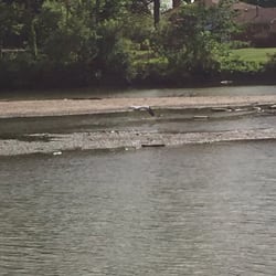 Como Lake Park - 24 Photos - Parks - 2220 Como Park Blvd, Lancaster, NY ...