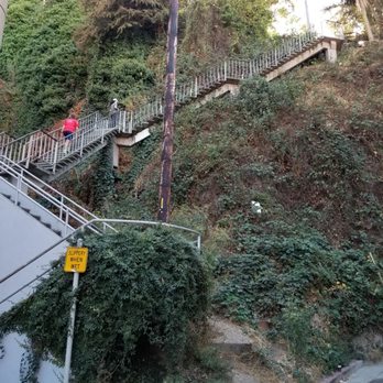 Filbert Steps - 372 Photos & 239 Reviews - Local Flavor - Filbert St ...