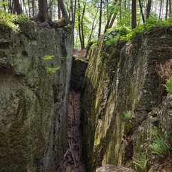 Mount Toby State Park - Parks - 1-109 Reservation Rd, Sunderland, MA - Yelp