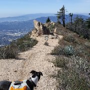 Mt Lowe - 129 Photos - Hiking - Mt Lowe Railway Trl, Altadena, CA - Yelp