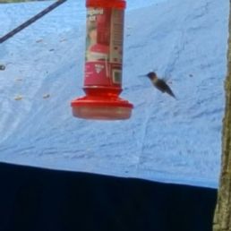 Red Ridge Lake Campground - Campgrounds - 11 Croll Rd, Zion Grove, PA ...