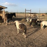 Chalk Bluff River Resort - 10 Photos & 13 Reviews - RV Parks - 1108 ...