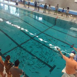 Scadding Court Community Centre - 28 Photos - Recreation Centres - 707 ...