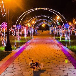 Munn Park - 2019 All You Need to Know BEFORE You Go (with Photos) Parks ...