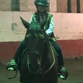 Memory Lane Stables - 101 Photos & 39 Reviews - Horseback Riding - 8290 ...