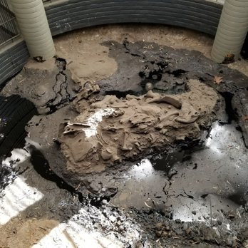 La Brea Tar Pits & Museum - 2443 Photos & 855 Reviews - Museums - 5801 ...