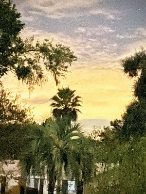 Floral City, FL Map & Directions - MapQuest