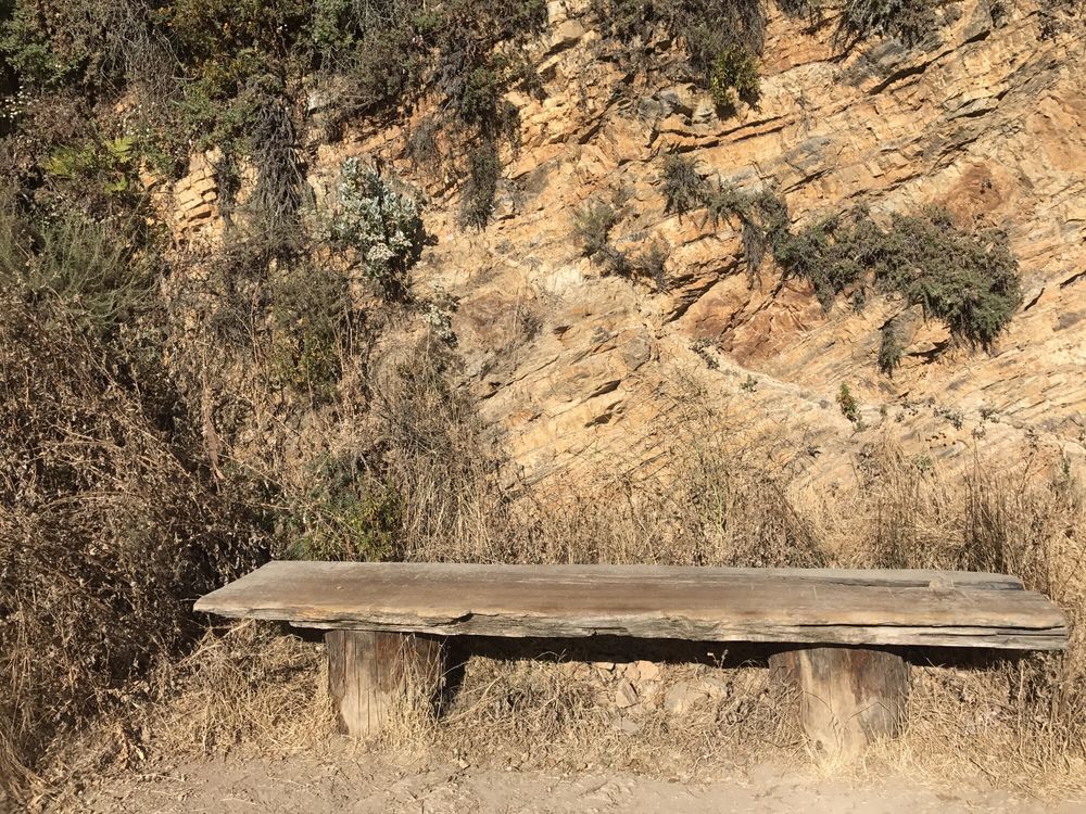 Berkeley Fire Trails - 235 Photos & 99 Reviews - Parks - Centennial Dr ...