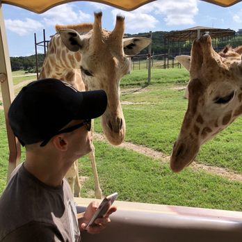 Fossil Rim Wildlife Center - 563 Photos & 210 Reviews - Zoos - 2299 ...