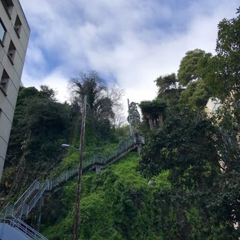 Filbert Steps - 372 Photos & 239 Reviews - Local Flavor - Filbert St ...